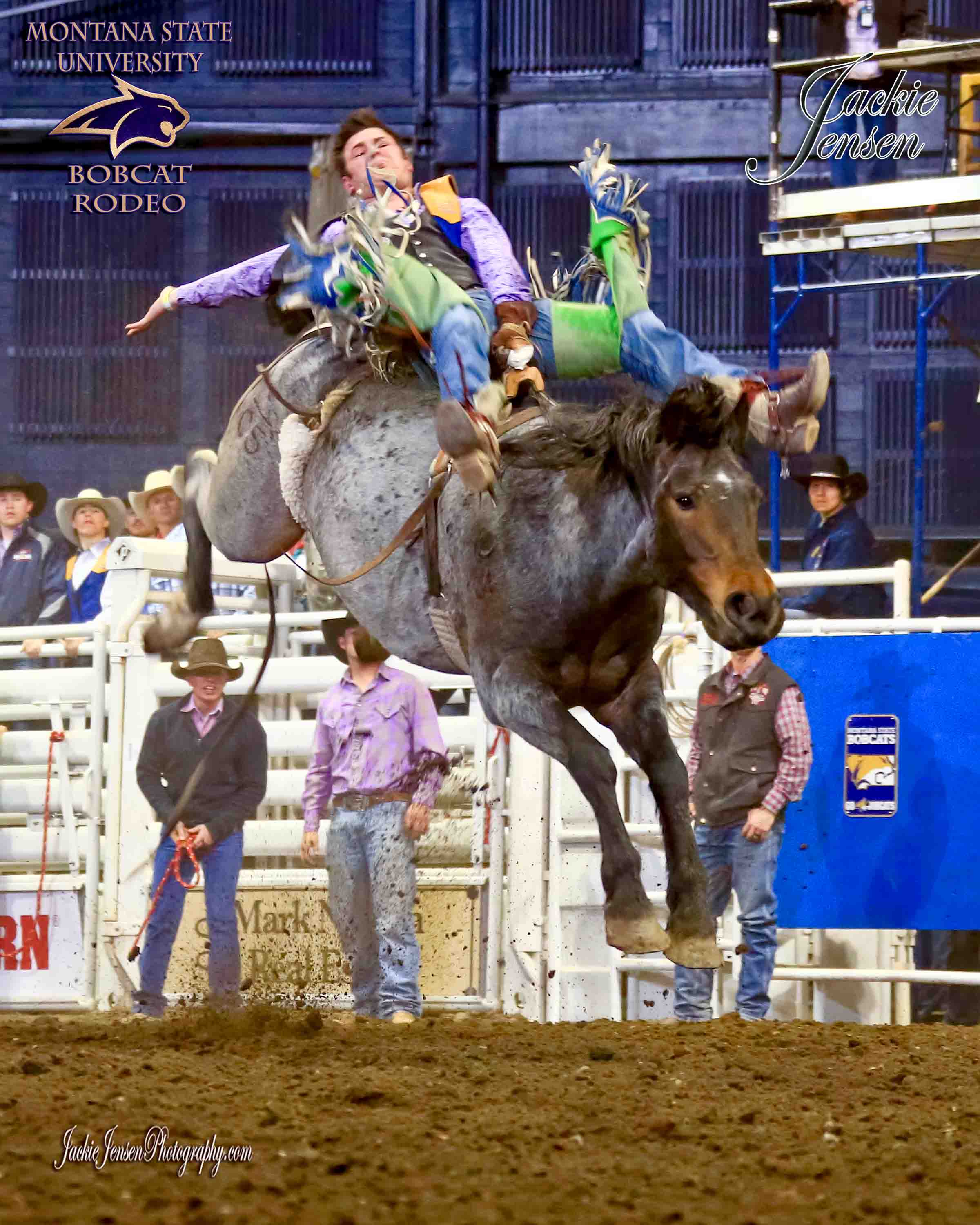 Rodeo Picture - Image Abyss