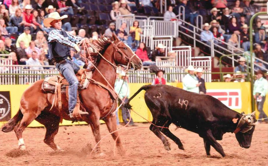 Rodeo Picture - Image Abyss