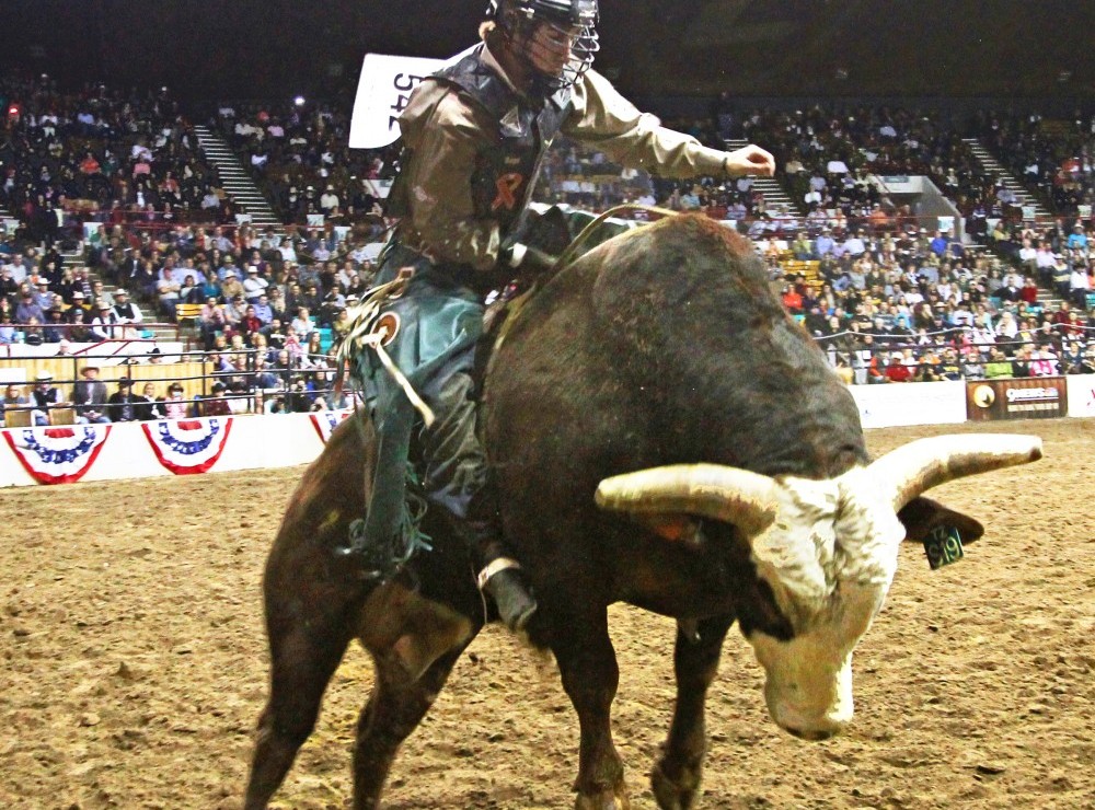 Download Rodeo Sports Image