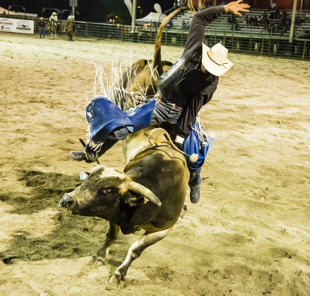 Download Rodeo Sports Image