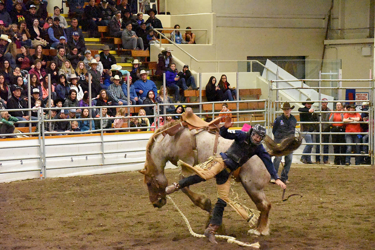 Rodeo Picture - Image Abyss