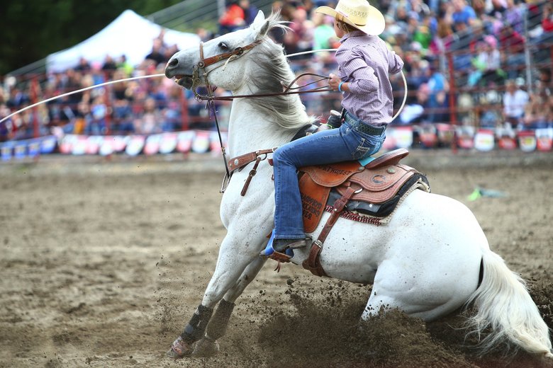 Rodeo Picture - Image Abyss