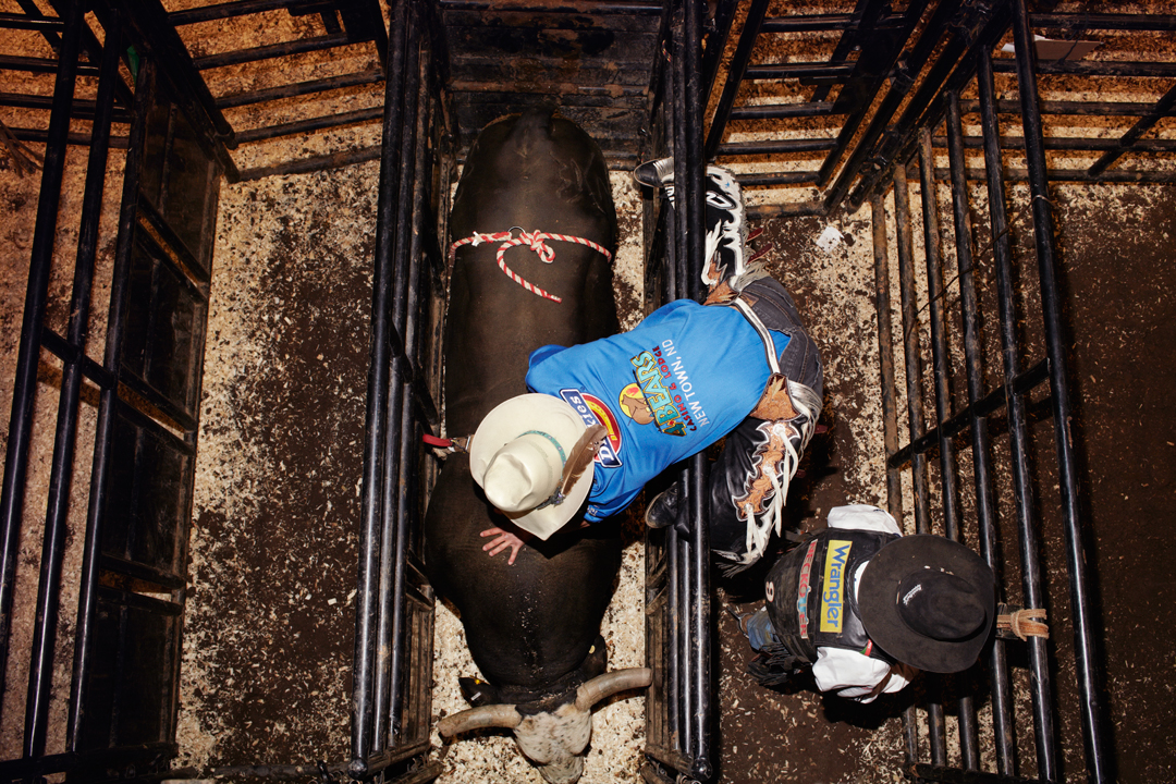 Rodeo Picture - Image Abyss