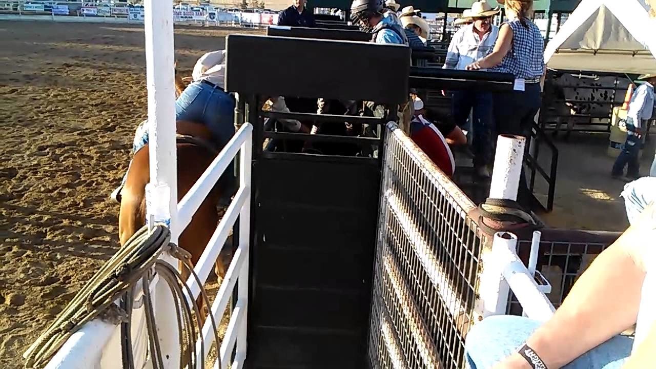 Rodeo Image - ID: 191642 - Image Abyss