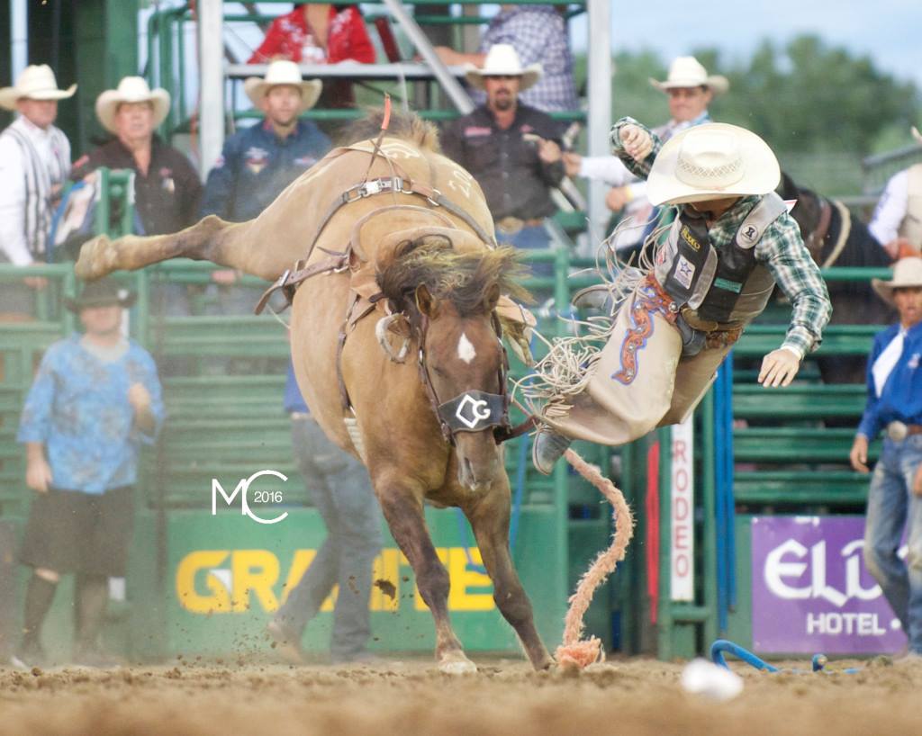 Rodeo Picture - Image Abyss