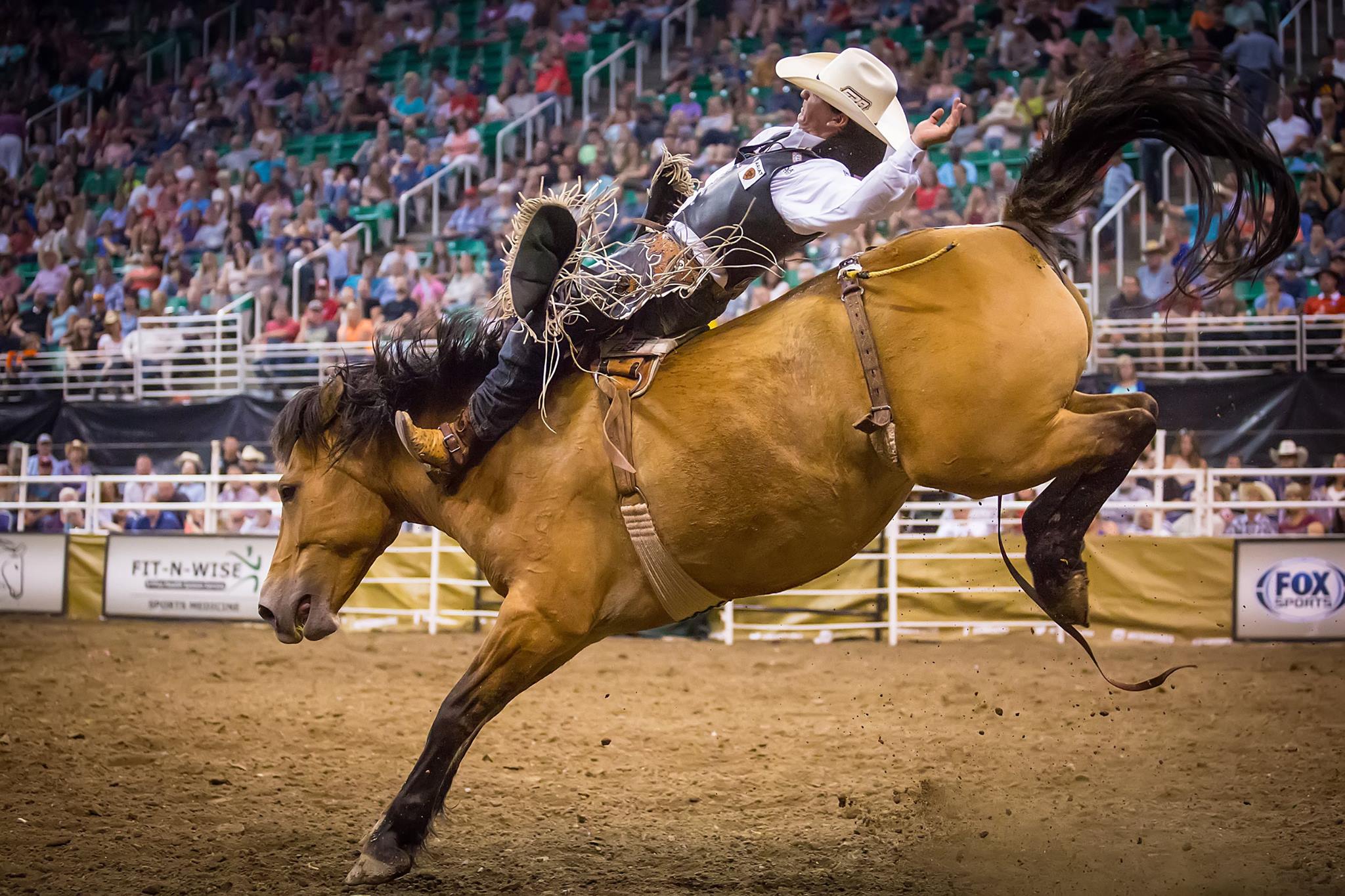 Download Rodeo Sports Image