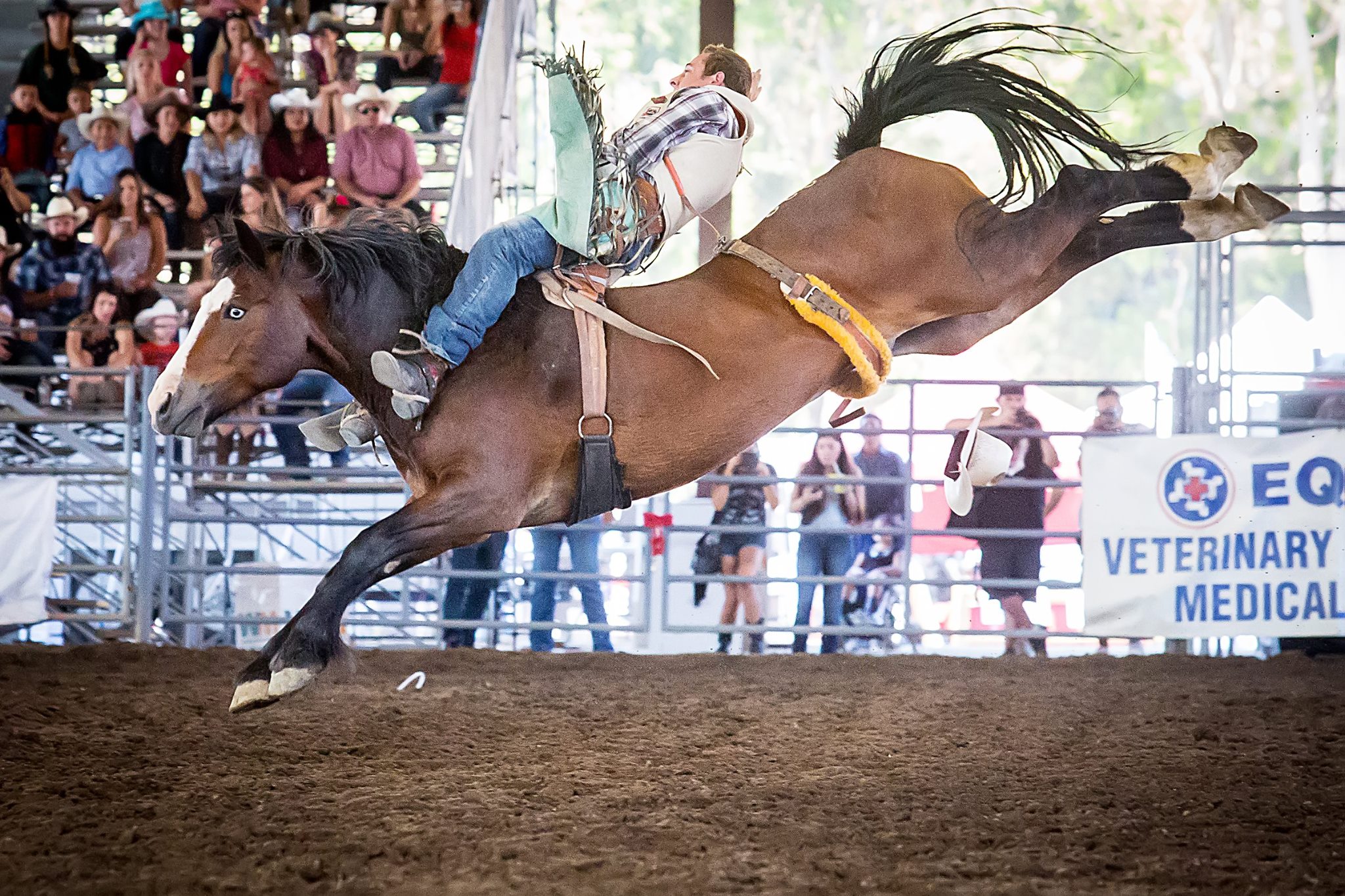 Rodeo Picture - Image Abyss