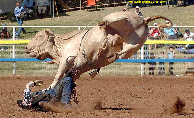Rodeo Picture - Image Abyss