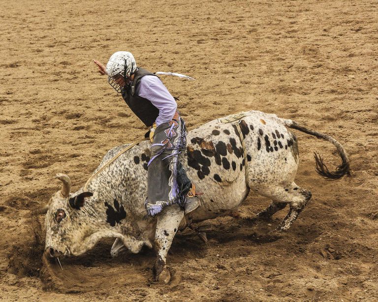 Download Rodeo Sports Image