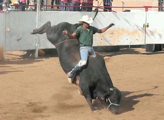 Rodeo Picture - Image Abyss