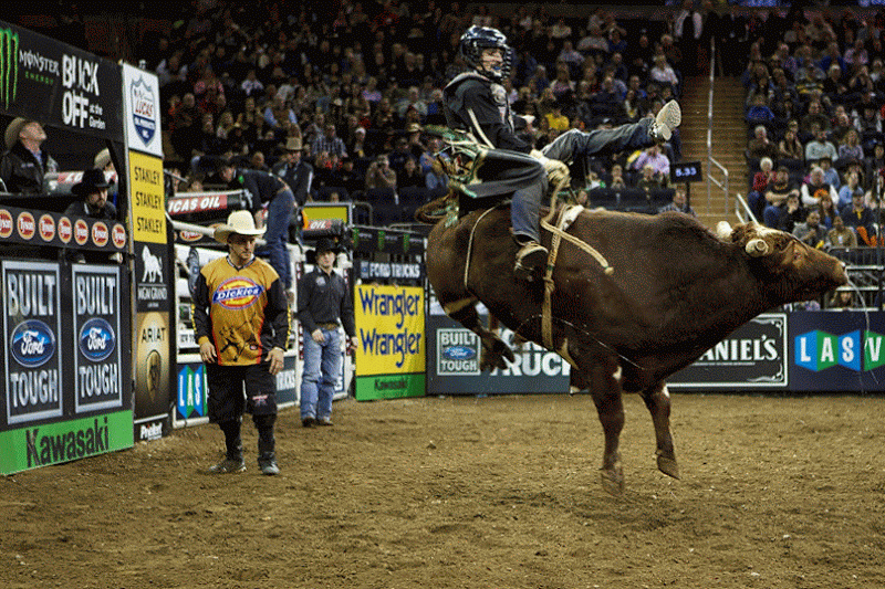 Rodeo Picture - Image Abyss