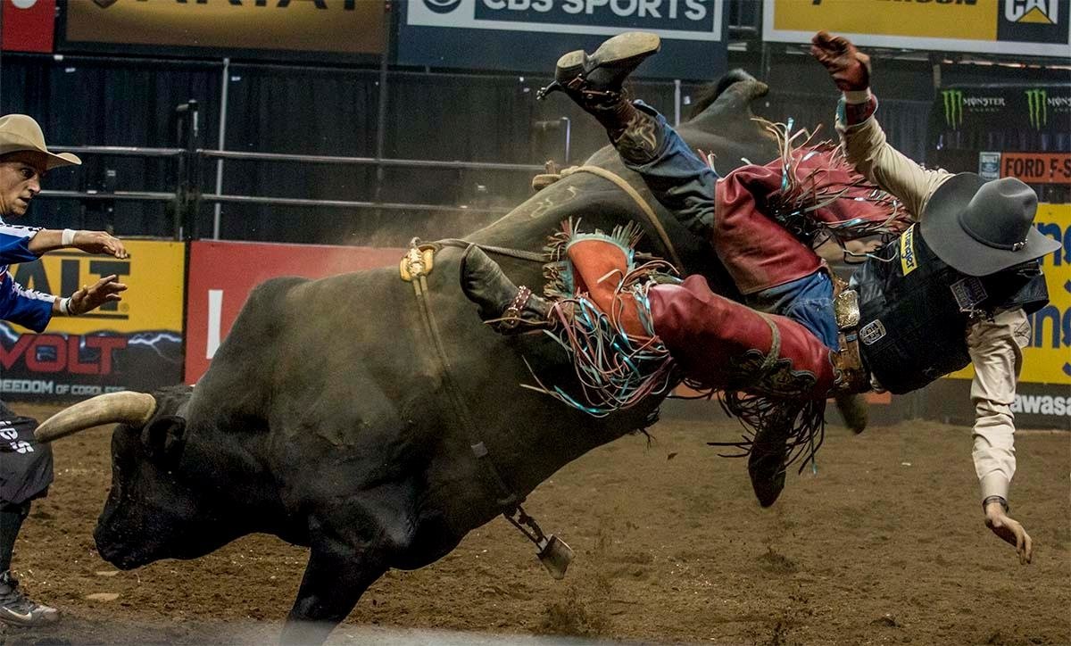 Rodeo Image - ID: 192111 - Image Abyss