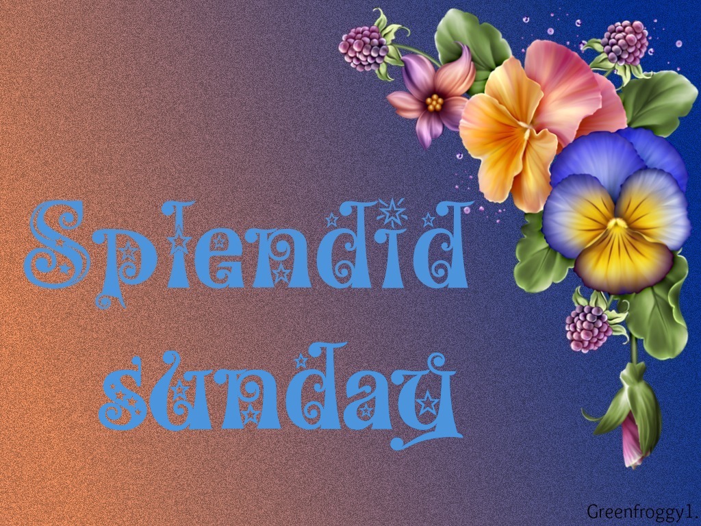 SPLENDID SUNDAY by GREENFROGGY1