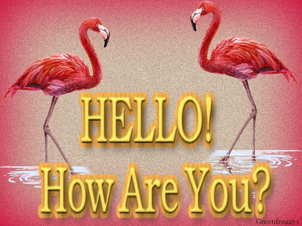 HELLO by GREENFROGGY1