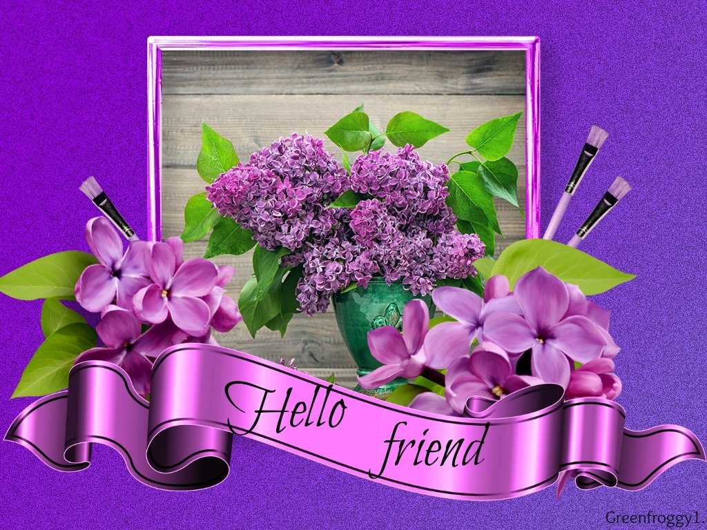 HELLO FRIEND by GREENFROGGY1