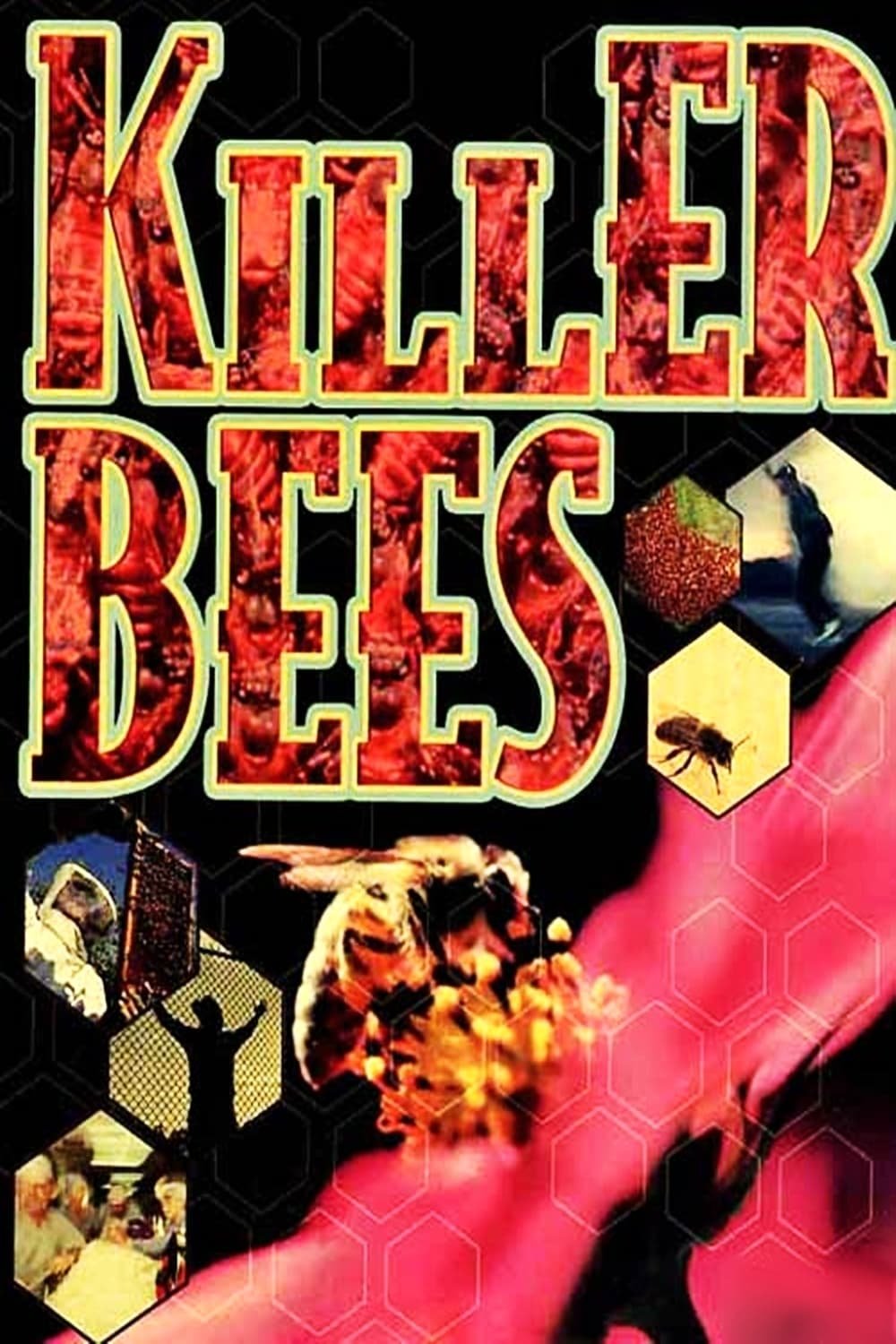 Killer Bees - Desktop Wallpapers, Phone Wallpaper, PFP, Gifs, and More!