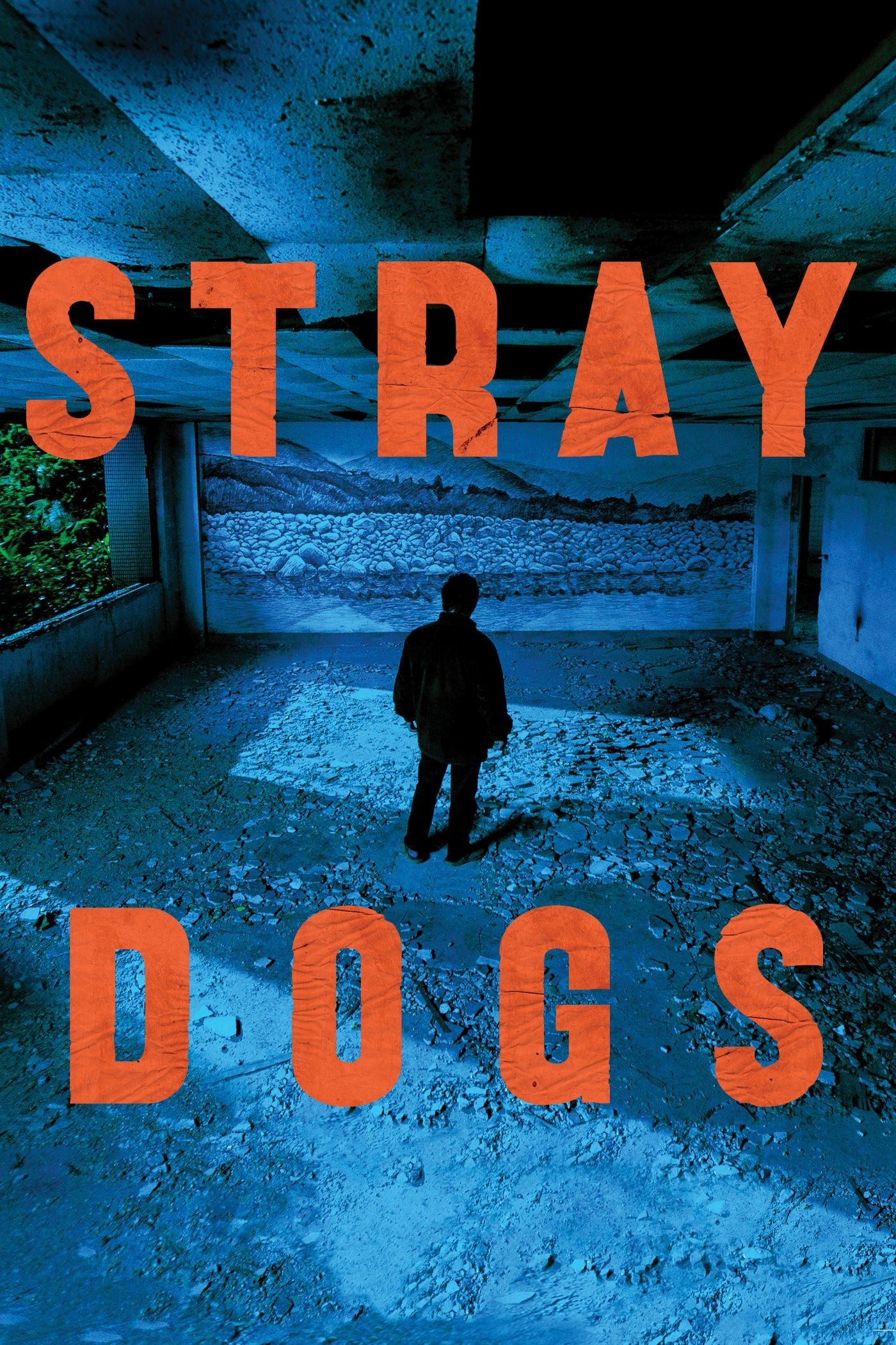 Stray Dogs - Desktop Wallpapers, Phone Wallpaper, PFP, Gifs, and More!