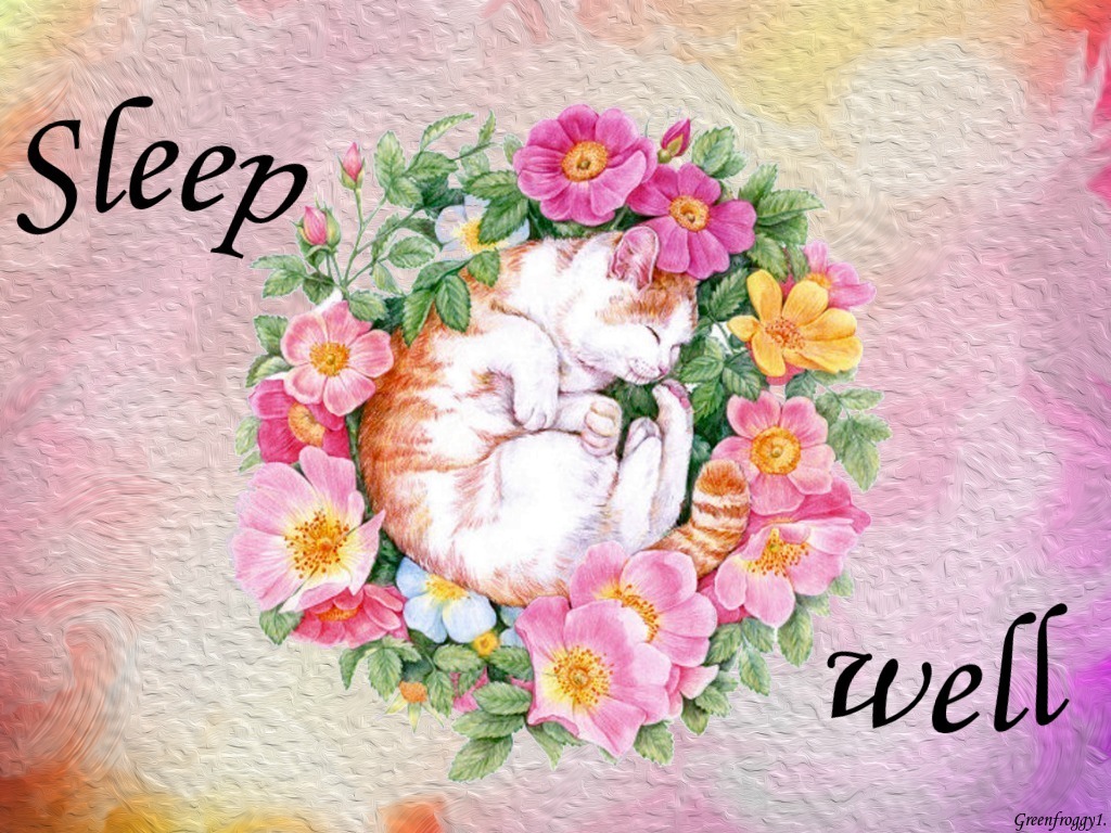 SLEEP WELL by GREENFROGGY1