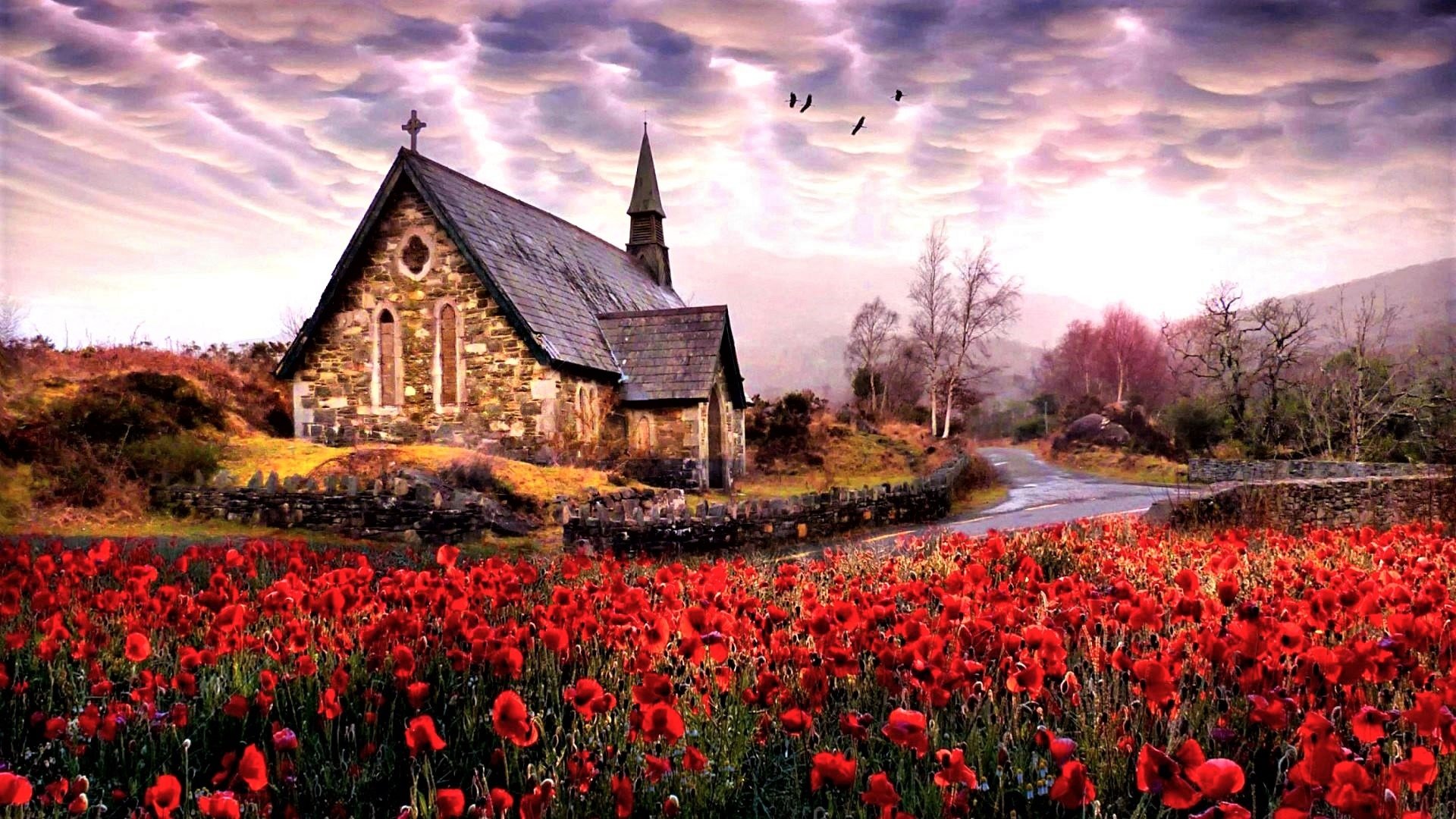Download Ireland Spring Poppy Chapel Stone Religious Church Image