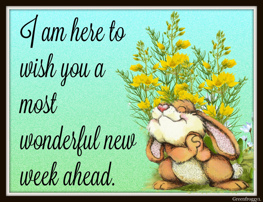 NEW WEEK by GREENFROGGY1