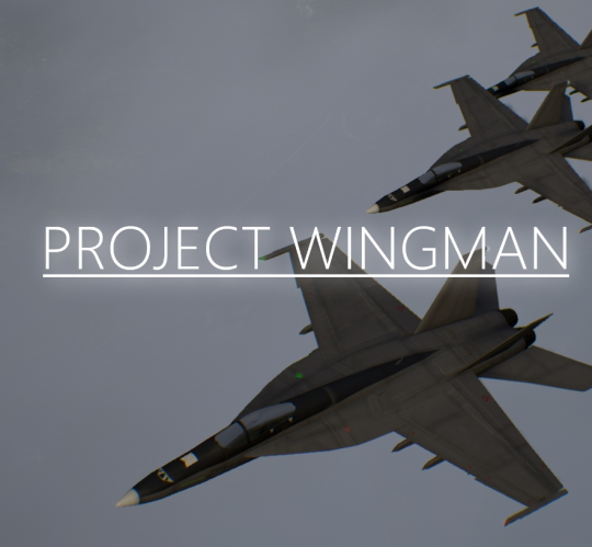 Project Wingman - Desktop Wallpapers, Phone Wallpaper, PFP, Gifs, and More!