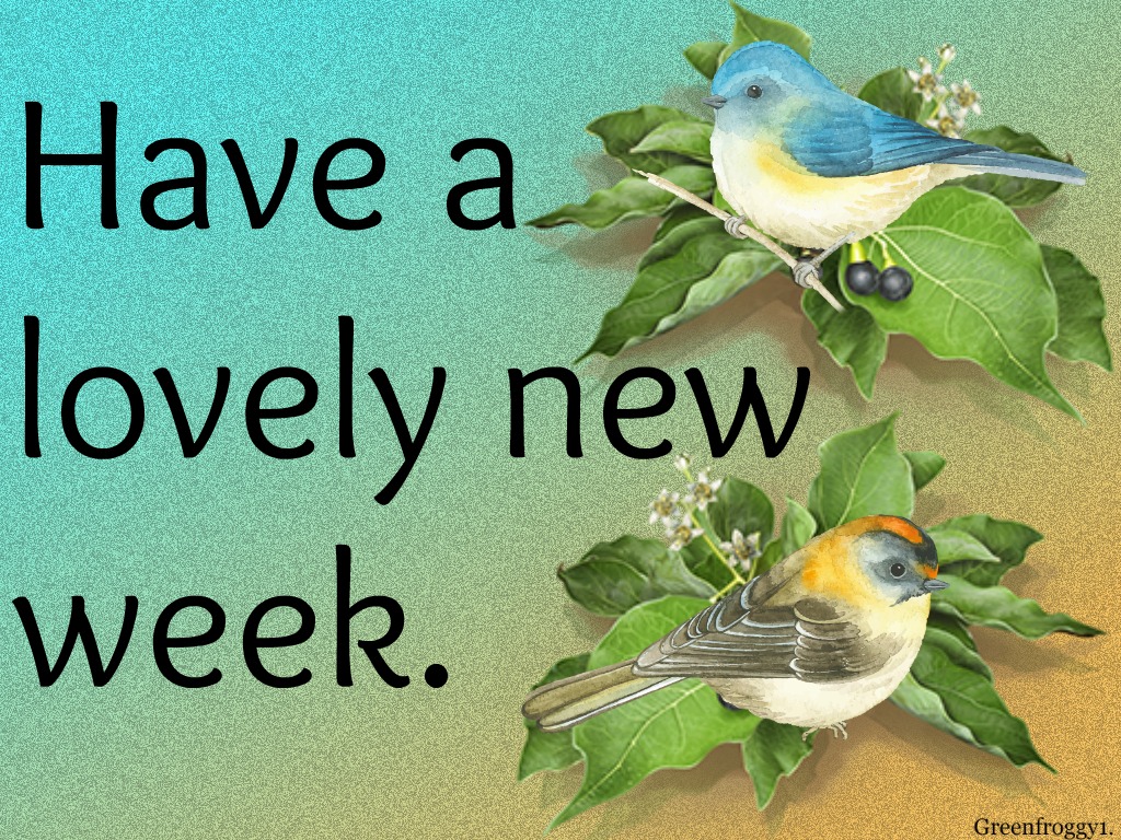 LOVELY WEEK by GREENFROGGY1