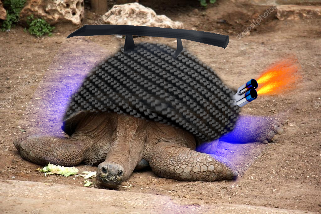 Speed Turtle. by HyderAli5814