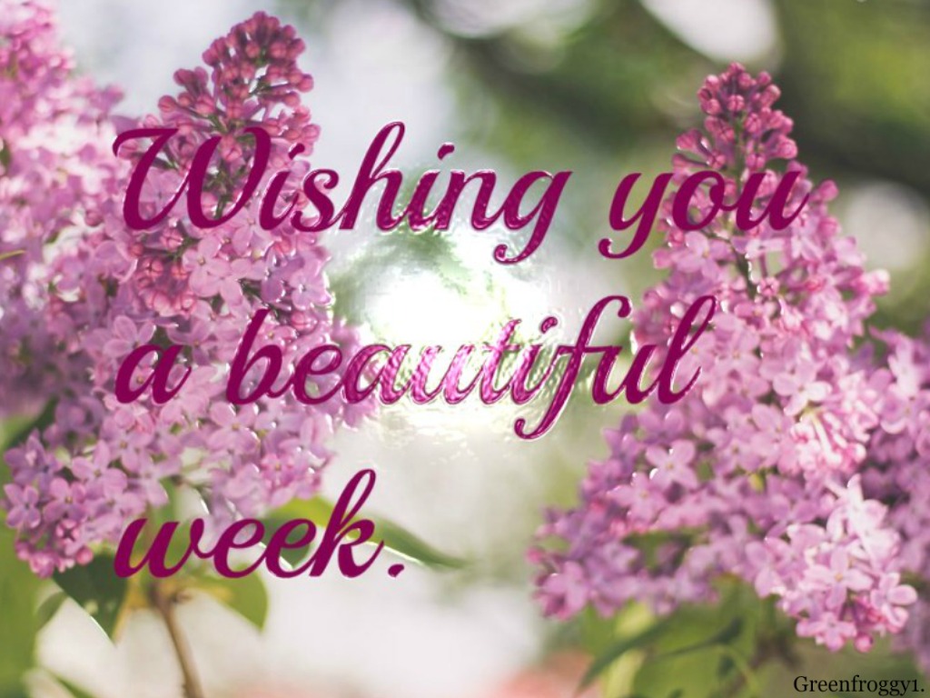 BEAUTIFUL WEEK by GREENFROGGY1