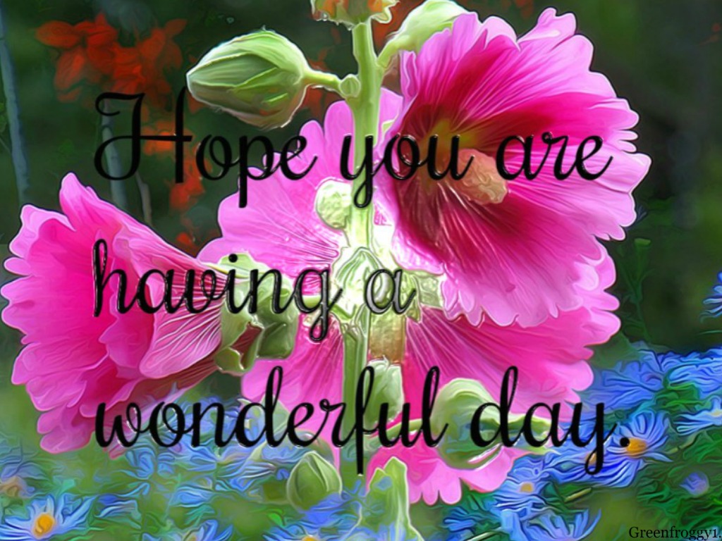 WONDERFUL DAY by GREENFROGGY1