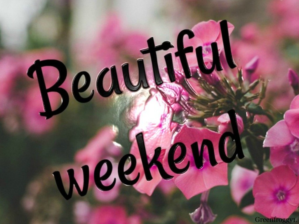BEAUTIFUL WEEKEND by GREENFROGGY1