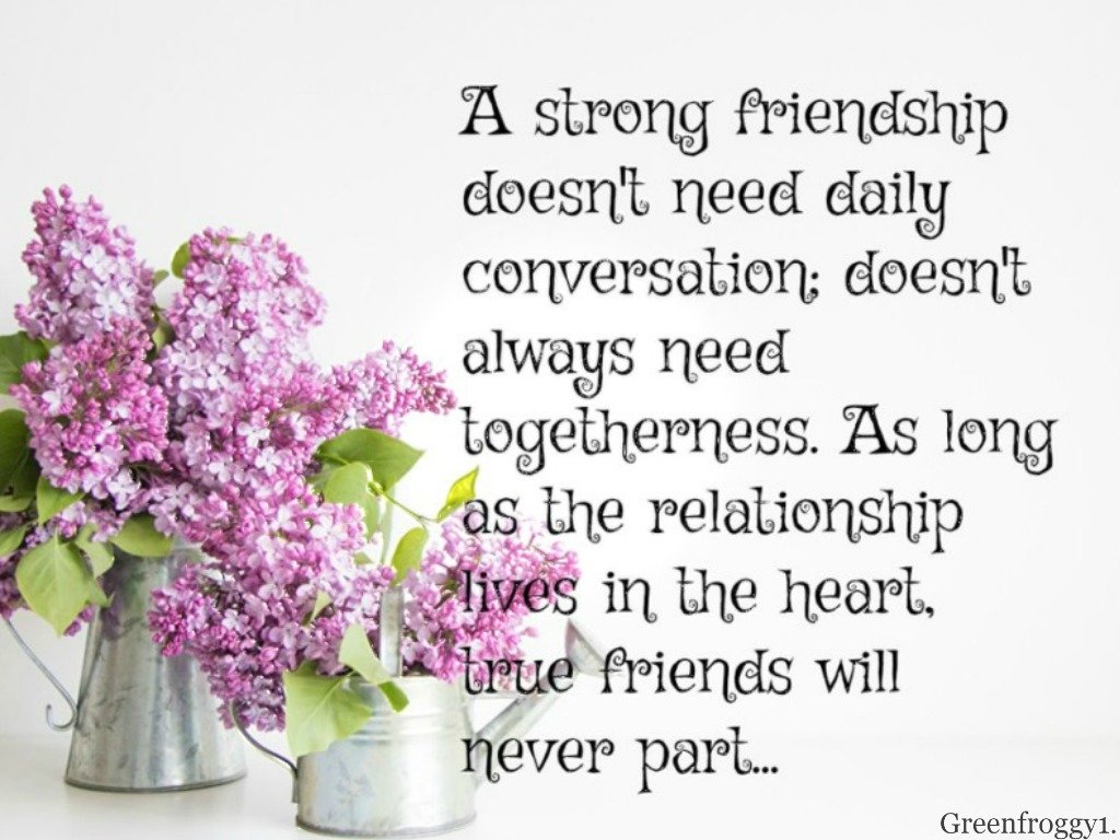 STRONG FRIENDSHIP by GREENFROGGY1