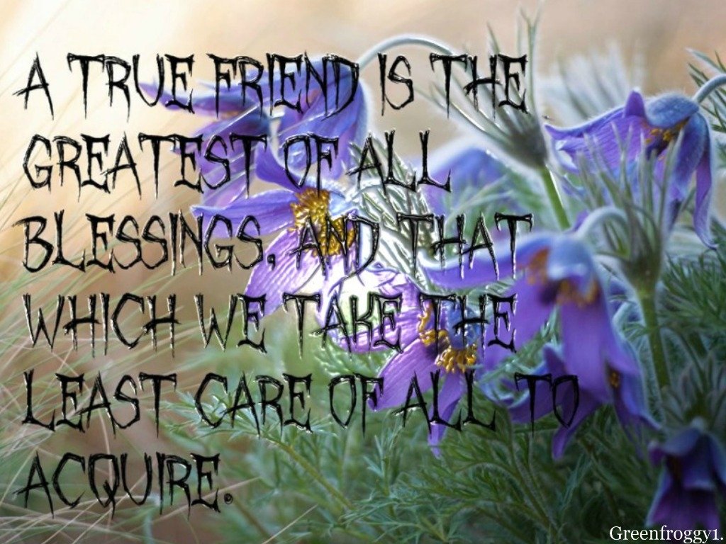 TRUE FRIEND Image - ID: 208829 - Image Abyss