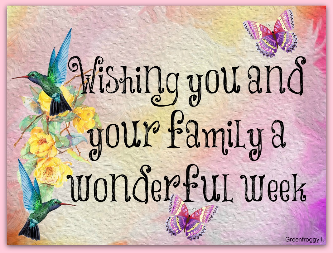 WONDERFUL WEEK by GREENFROGGY1