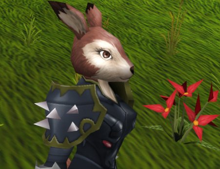 Earth Eternal Image - ID: 22038 - Image Abyss