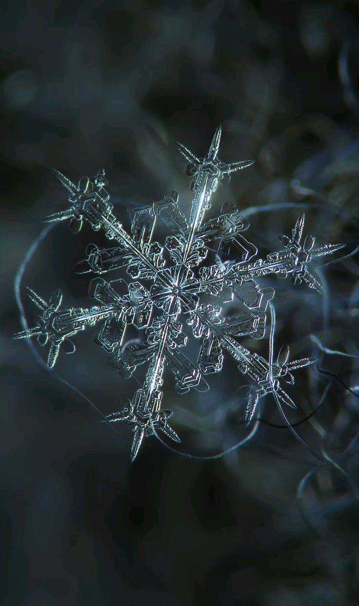 Download Nature Snowflake Image