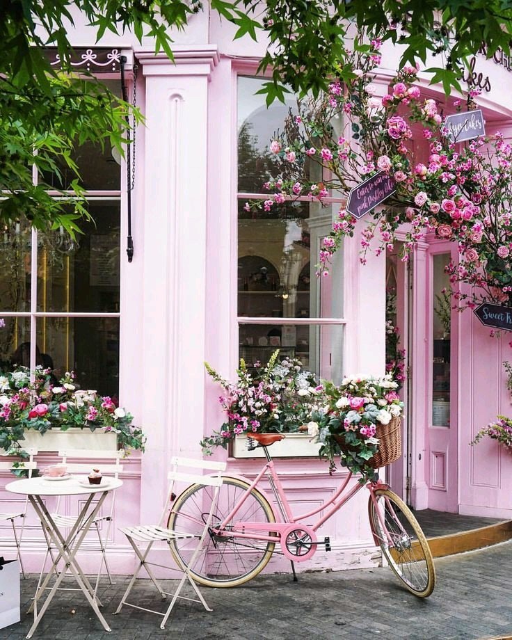 Shop Image - ID: 221723 - Image Abyss