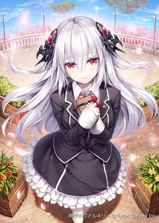 Valkyrie Crusade Picture - Image Abyss