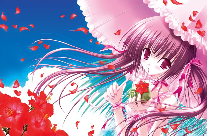 Hibiscus Garden Image - ID: 226754 - Image Abyss