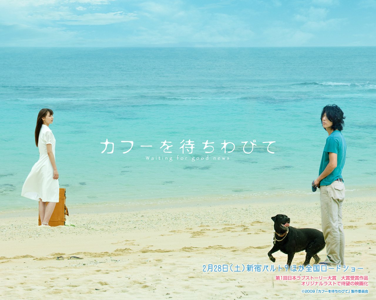 Download Movie Kafoo: Waiting For Happiness Image