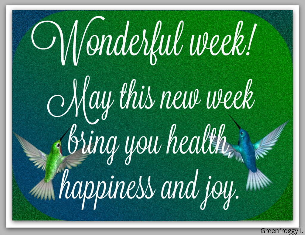 WONDERFUL WEEK by GREENFROGGY1