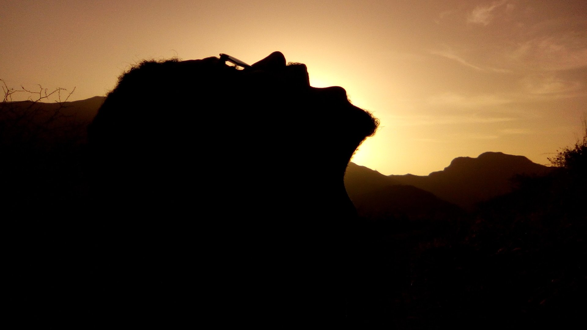 Fred_derF's Profile at Alpha Coders