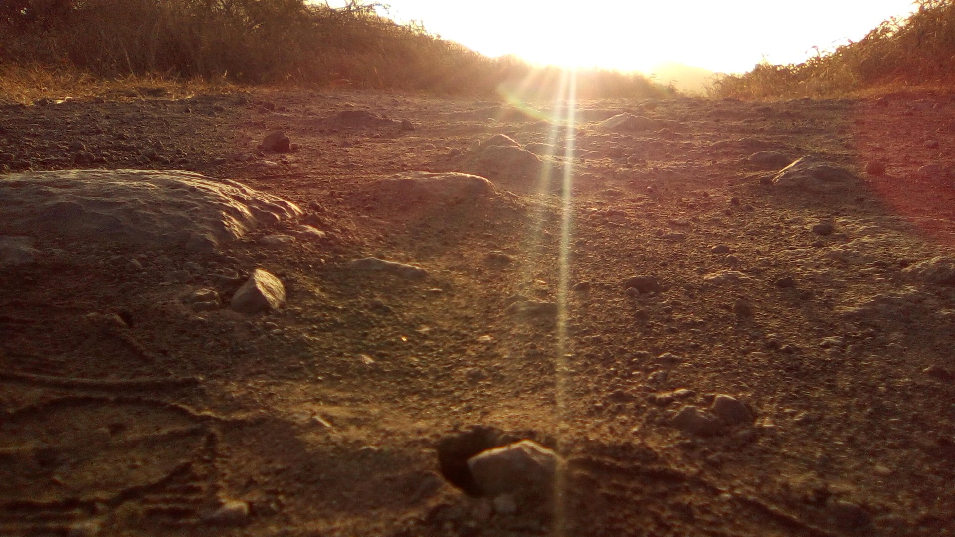 Morning Sun....: A Gallery By Fred_derF