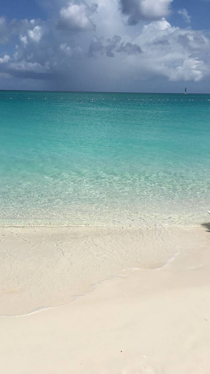 Download Turquoise Sea Earth Nature Ocean Image