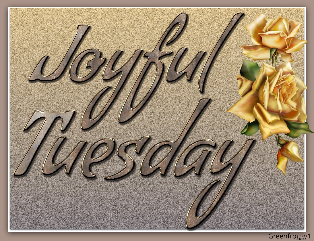 JOYFUL TUESDAY by GREENFROGGY1 - Image Abyss