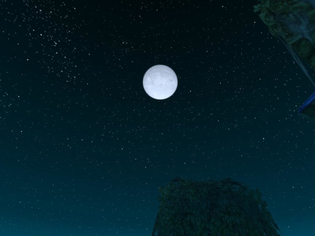 Moonlit Dreams: A Glimpse Into Nature's Sky