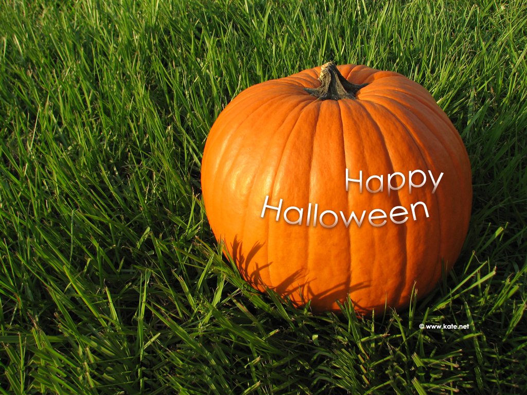 Spooky Pumpkin Glow: Celebrating a Happy Halloween Holiday