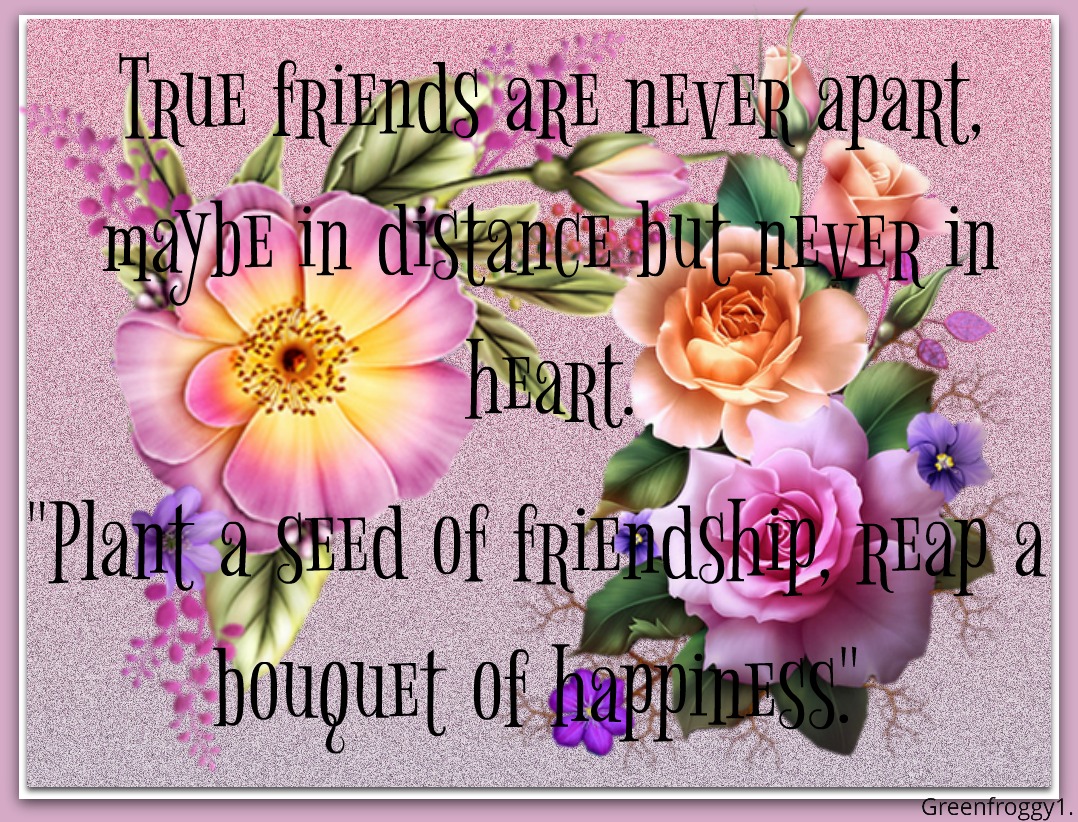 TRUE FRIENDS by GREENFROGGY1