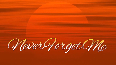 Never Forget Me - Desktop Wallpapers, Phone Wallpaper, PFP, Gifs, and More!