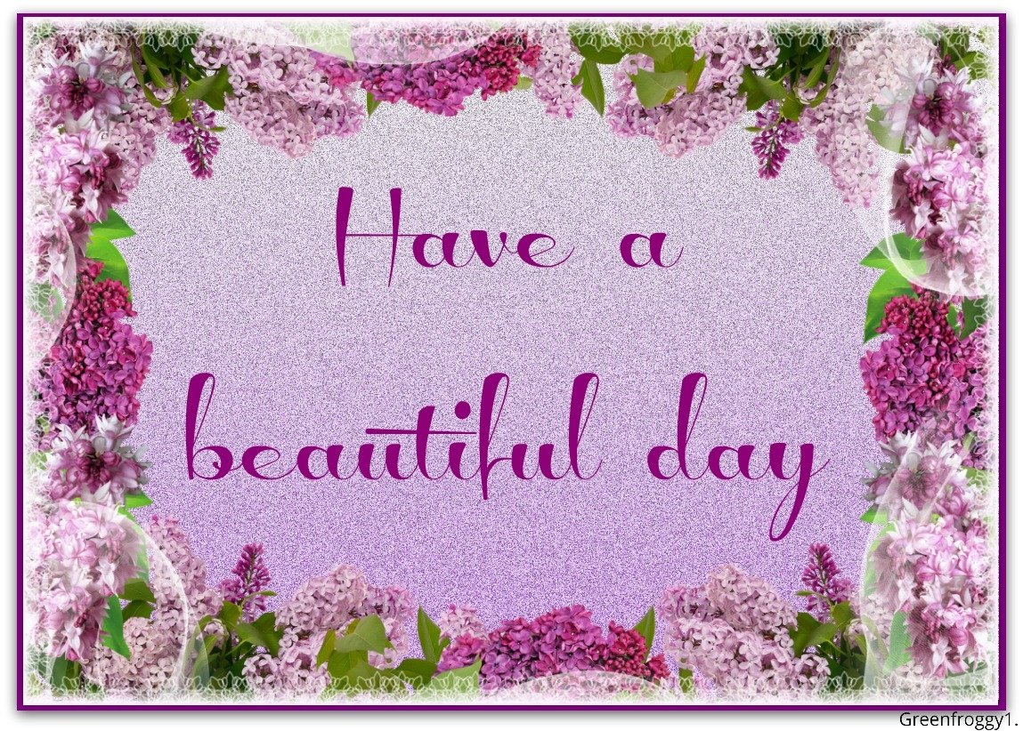 BEAUTIFUL DAY Image - ID: 234062 - Image Abyss