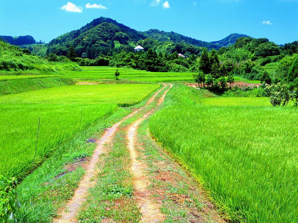 Man-Made Road Through Lush Mountain Landscape